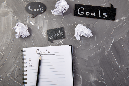Ashley's 2025 Goals - Pulse Check - Blogging Away Debt Blogging Away Debt